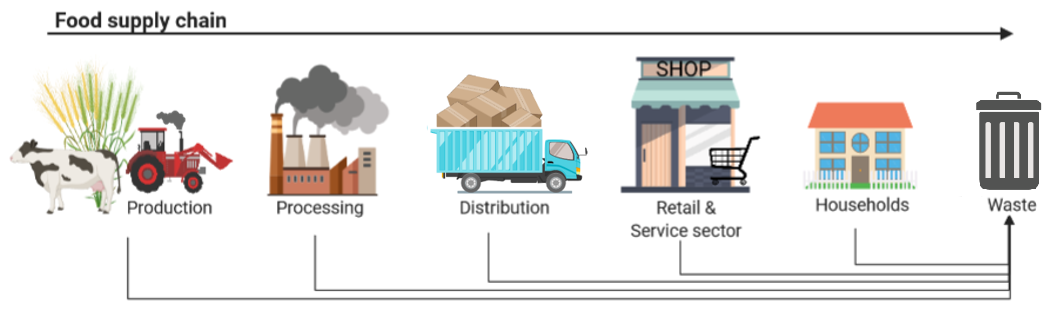 What is food waste: the value of a sustainable supply chain – part 1